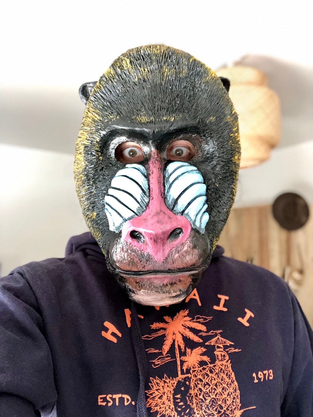 Hand-painted Mandrill Mask: Primate Costume - Etsy