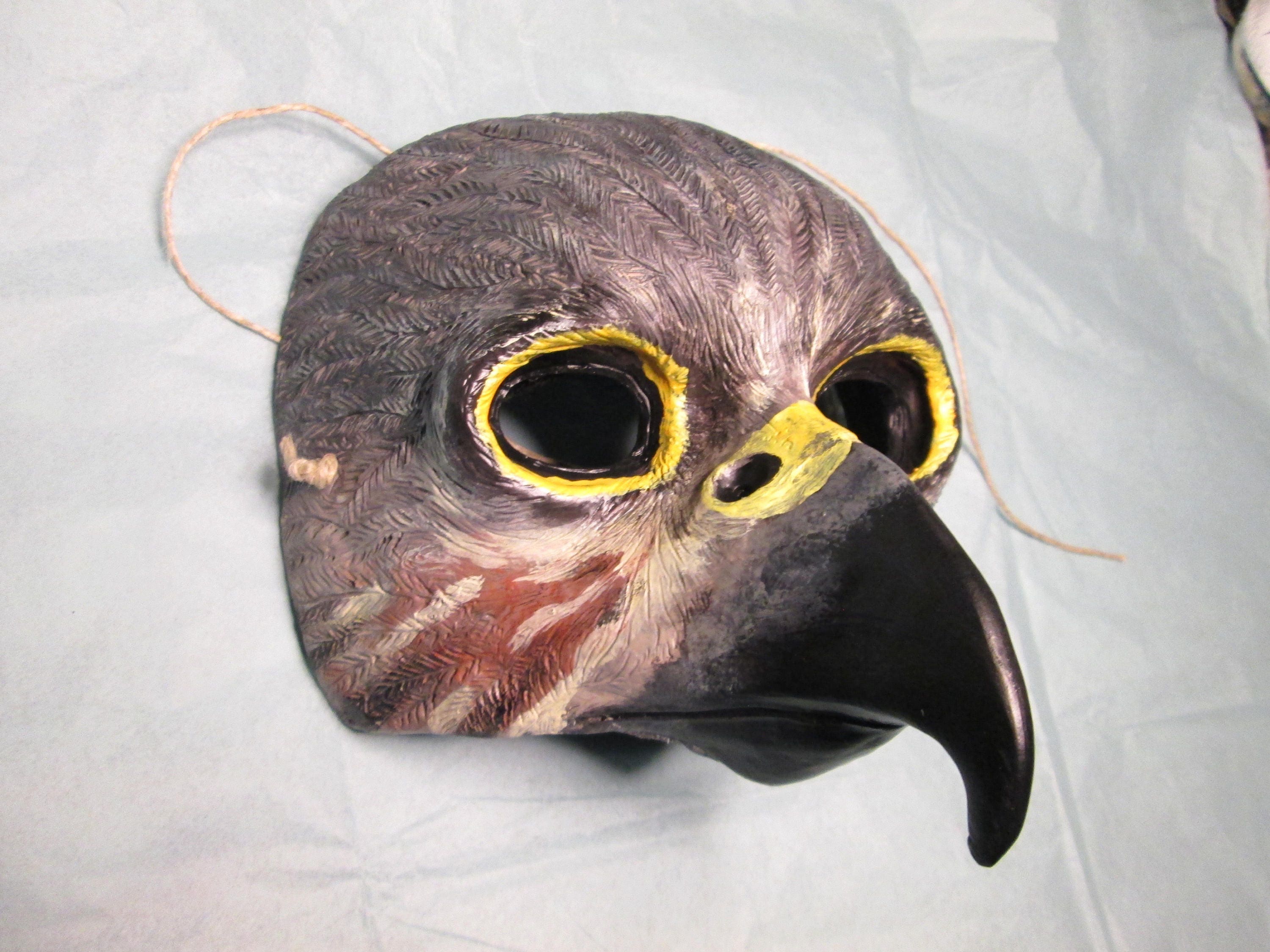 Peregrine Falcon Costume