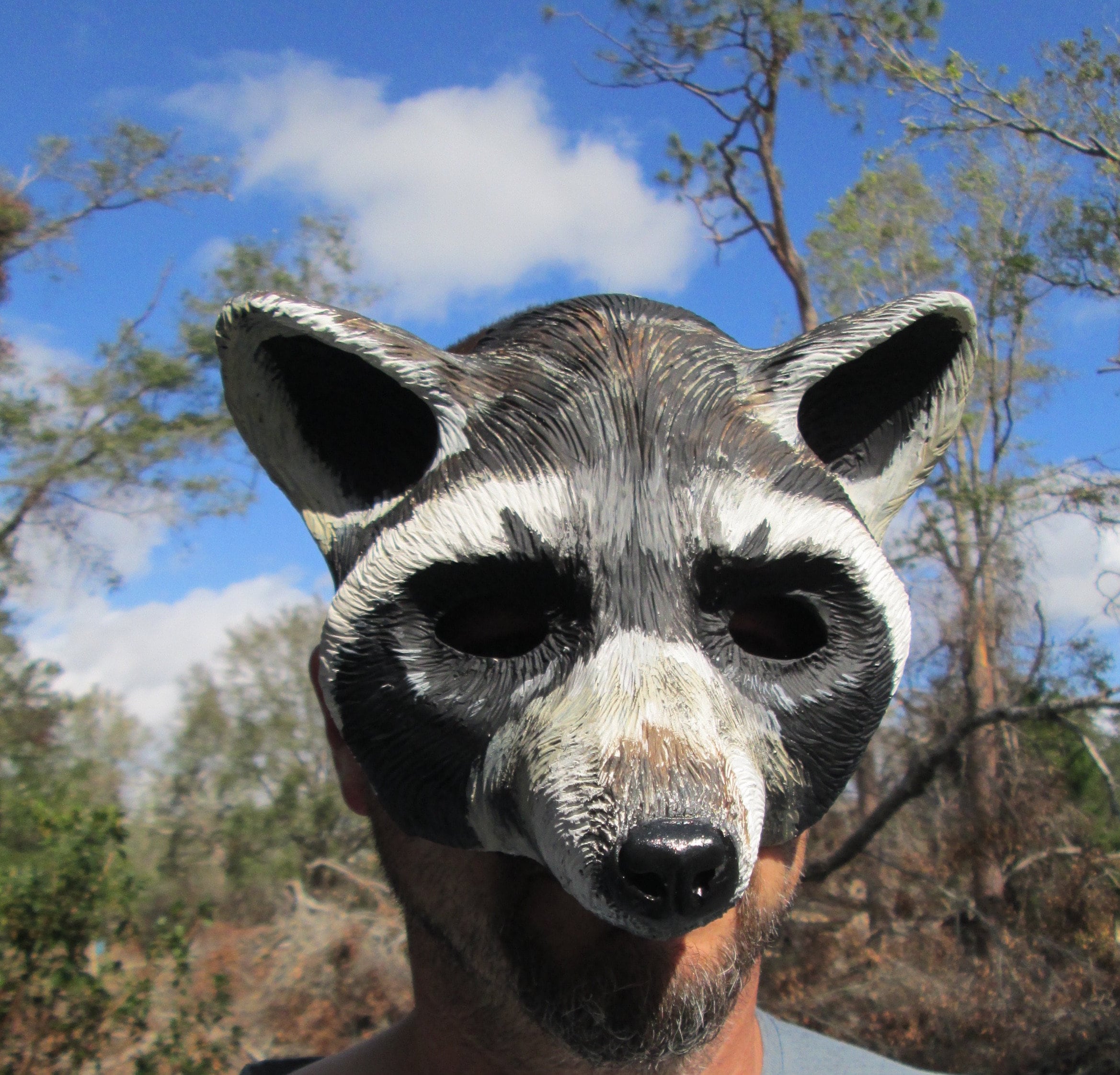 Raccoon, Mask, Animal Costume Mask, Hand Painted, Rocket, Masquerade ...