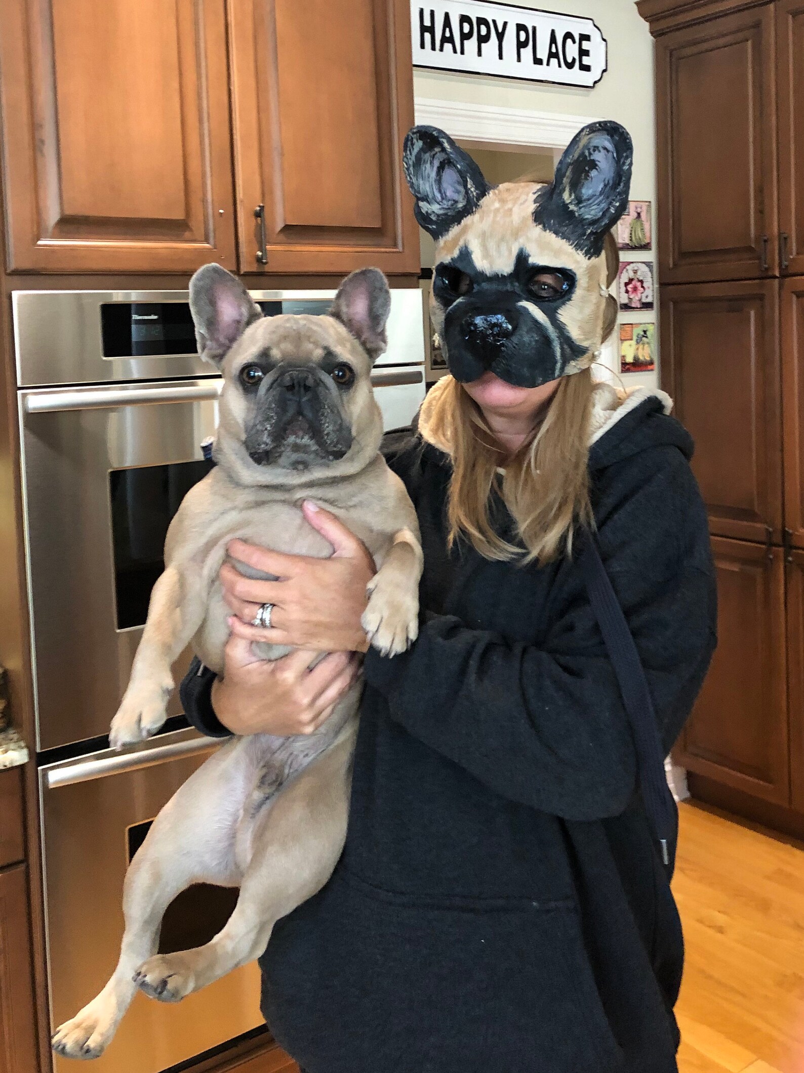 French Bulldog Frenchie Show Dog Costume Mask American | Etsy