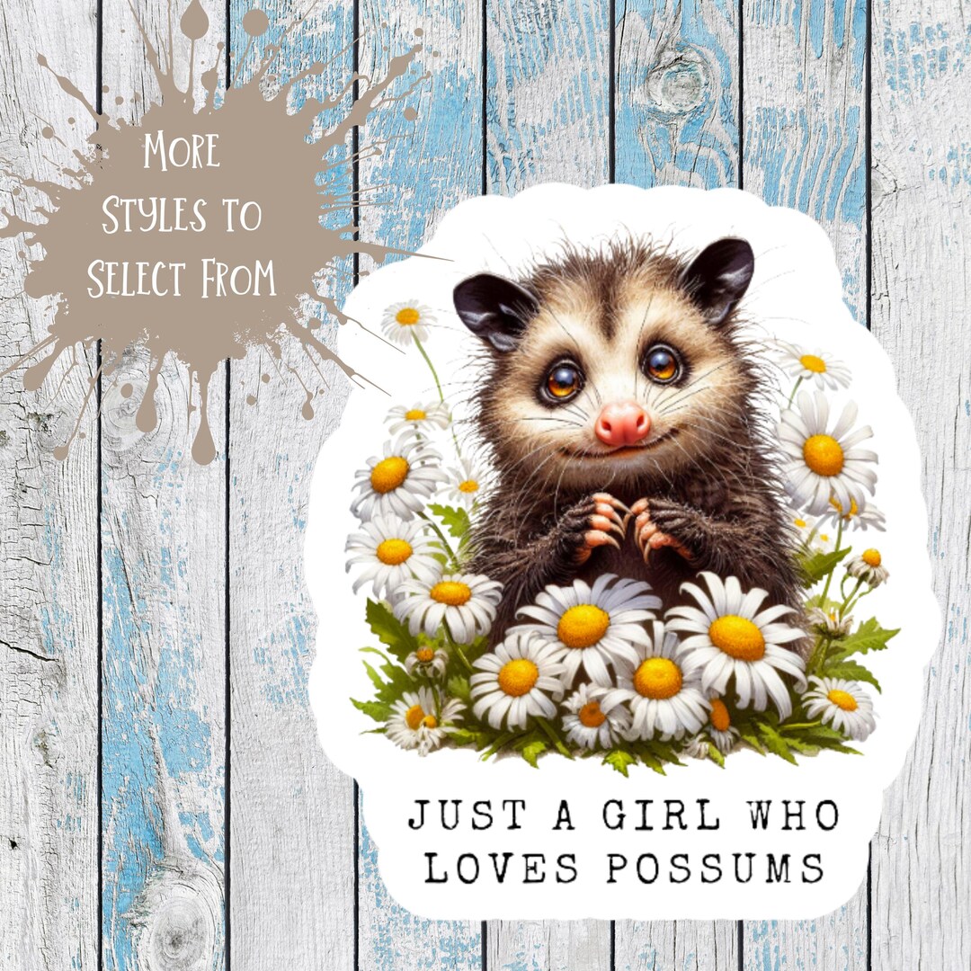 Possum Stickers Funny Possum Stickers Possum Gifts Opossum Sticker I ...