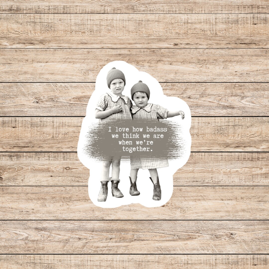 Funny Stickers for Friends Stickers Laptop Decals Friendship Stickers ...