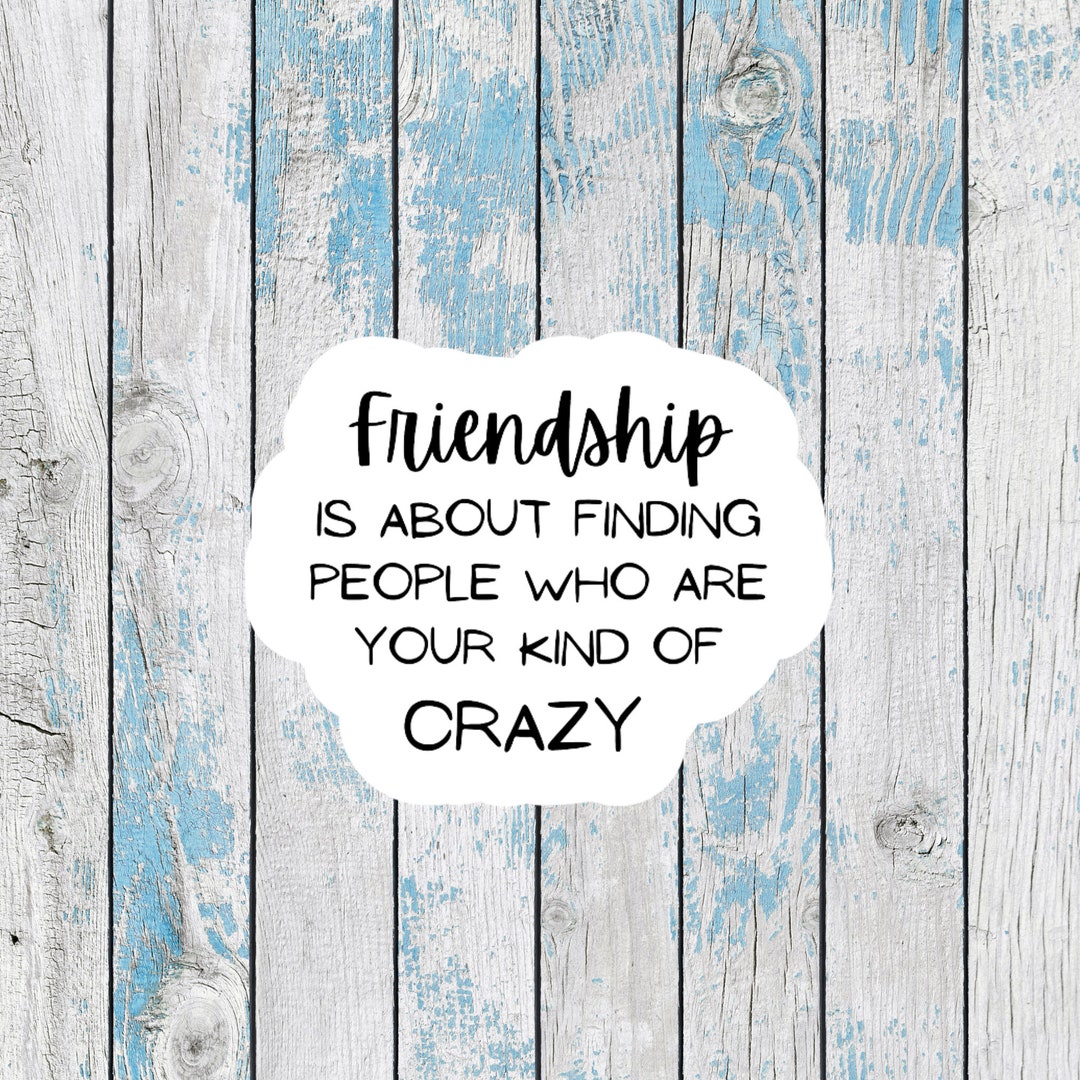 Funny Stickers for Friends Stickers Laptop Decals Friendship Stickers ...