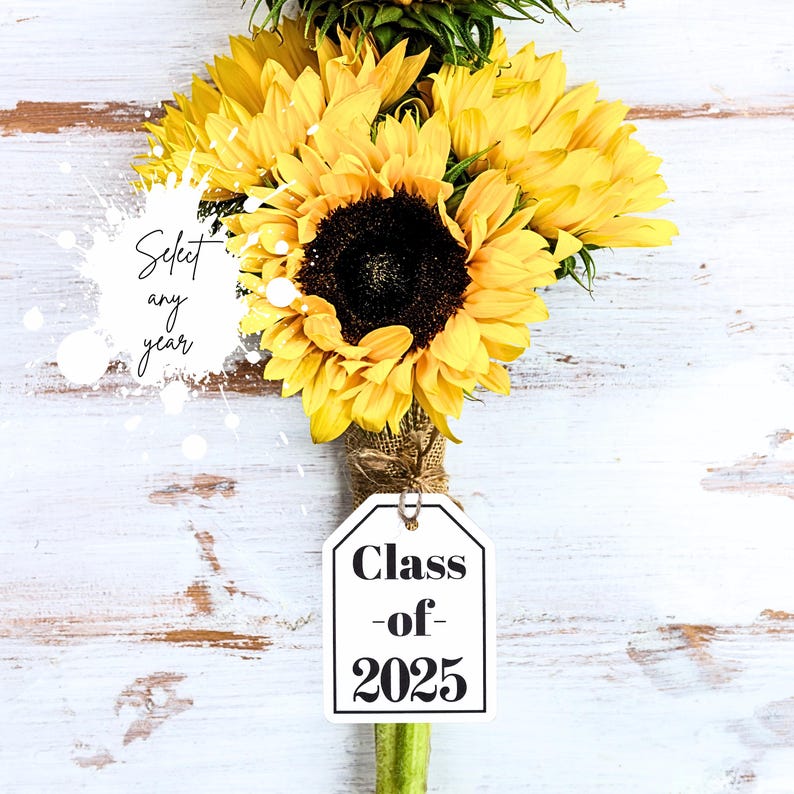 2026 Tags for Graduation Decorations Class of 2026 Labels for Mason Jar ...