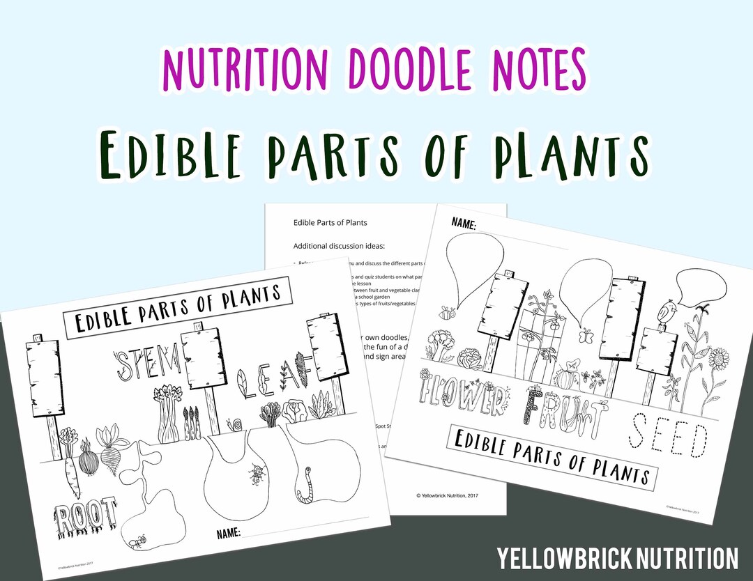 Doodle Note: Edible Parts of Plants - Etsy