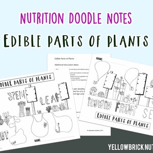 Doodle Note: Edible Parts of Plants - Etsy