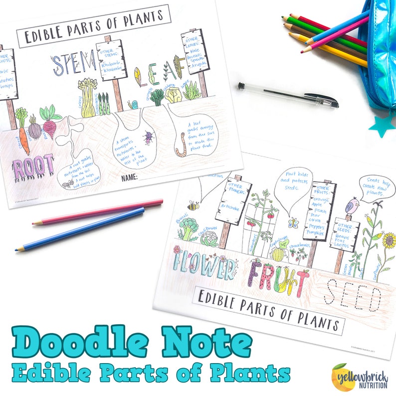 Edible Parts of Plants Doodle Note, Color Handout, Lesson, Instant ...