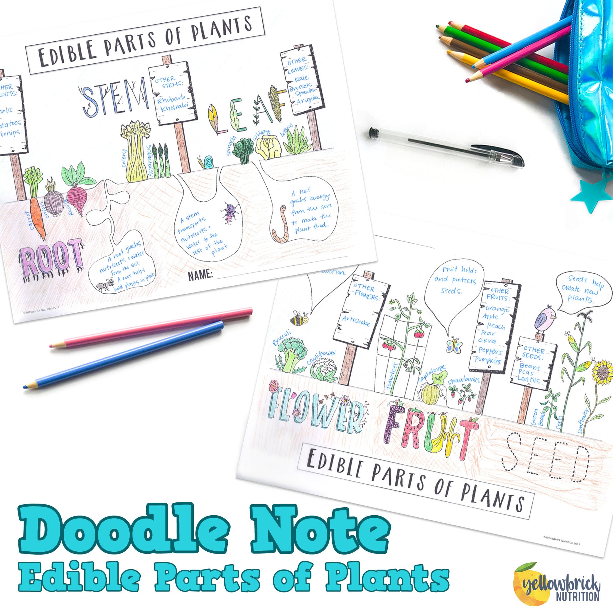 Edible Parts of Plants Doodle Note, Color Handout, Lesson, Instant ...