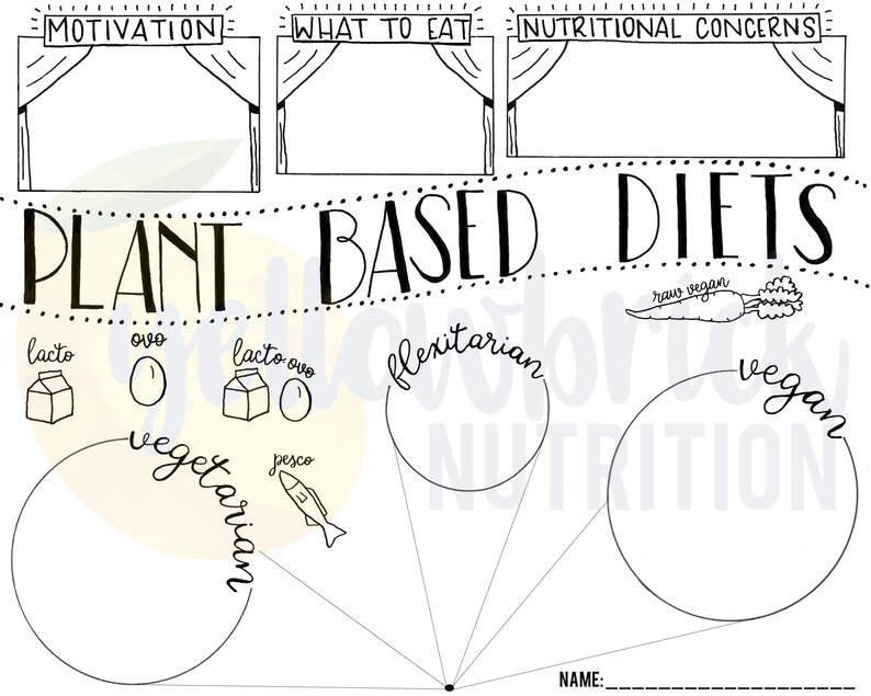 Plant Based Diets, Doodle Handout, Doodle Note, Nutrition Lesson ...