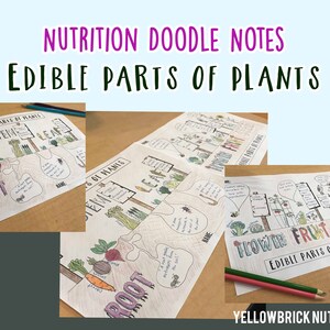 Doodle Note: Edible Parts of Plants - Etsy
