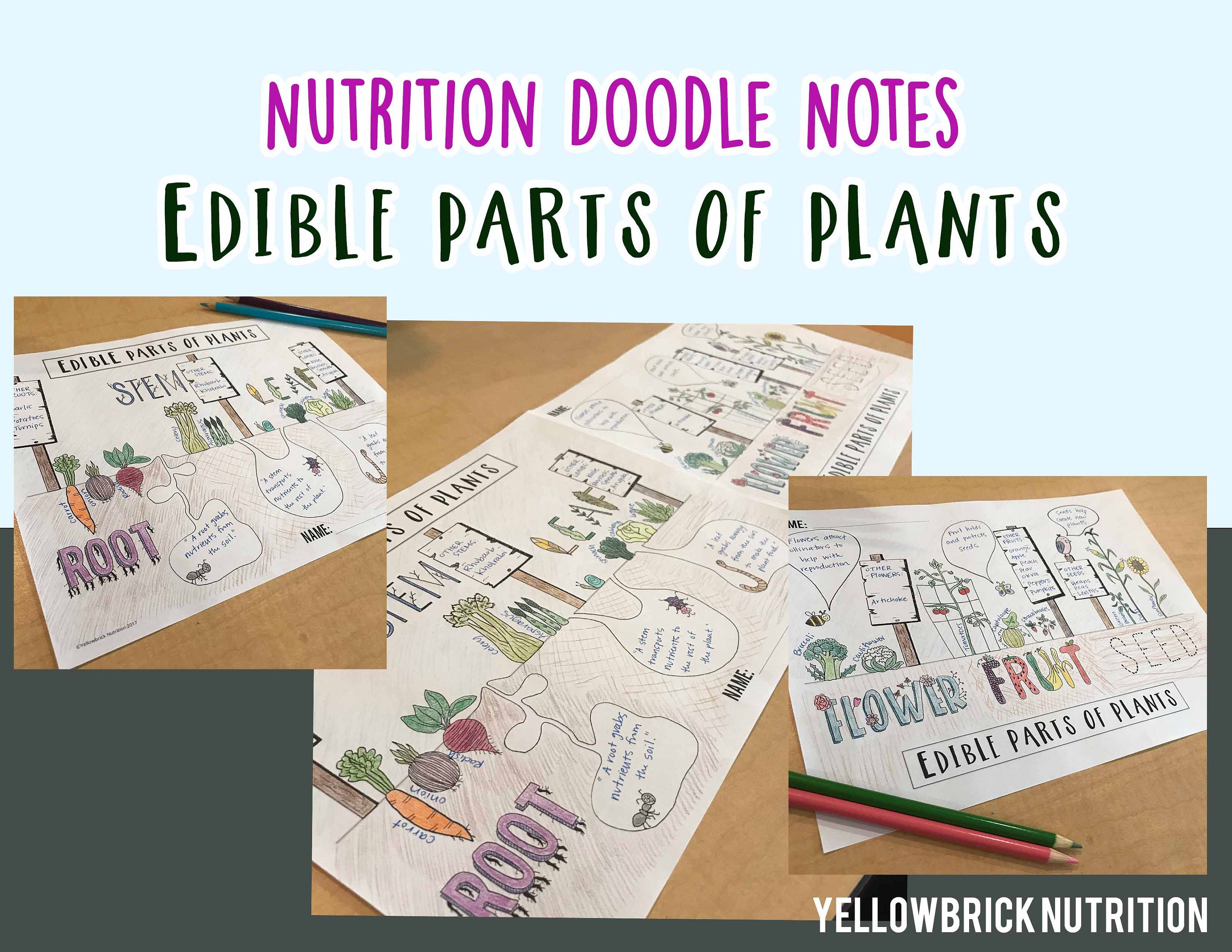 Doodle Note: Edible Parts of Plants - Etsy