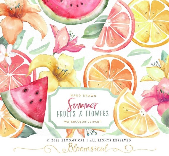 Summer Fruits Flowers Clip Art Watermelon Citrus Lemon Lilies | Etsy