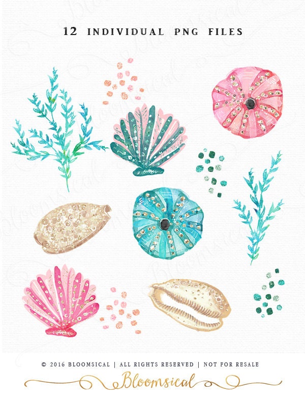 Glitter Seashells Clip Art Glam Sea Shells Coral Marine - Etsy UK