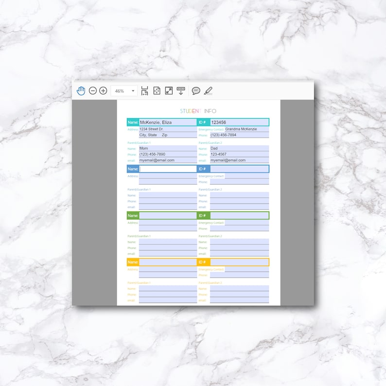 Teacher Planner Printable Student Information Editable PDF | Etsy