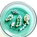 Polymer Clay Shape Cutter | Coral Seaweed Sea Plant Algae Marine Nori ...