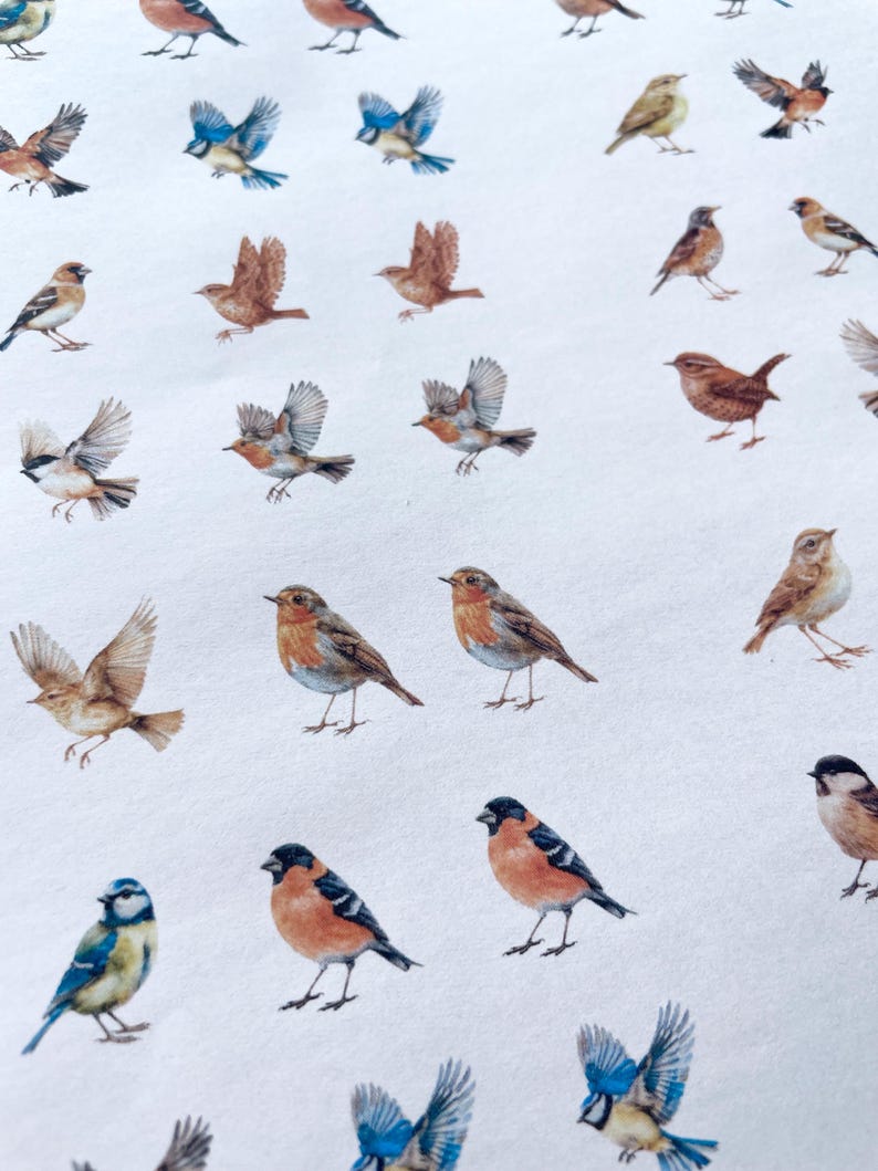 Water Soluble Transfer Paper for Polymer Clay | Birds Image Transfer ...