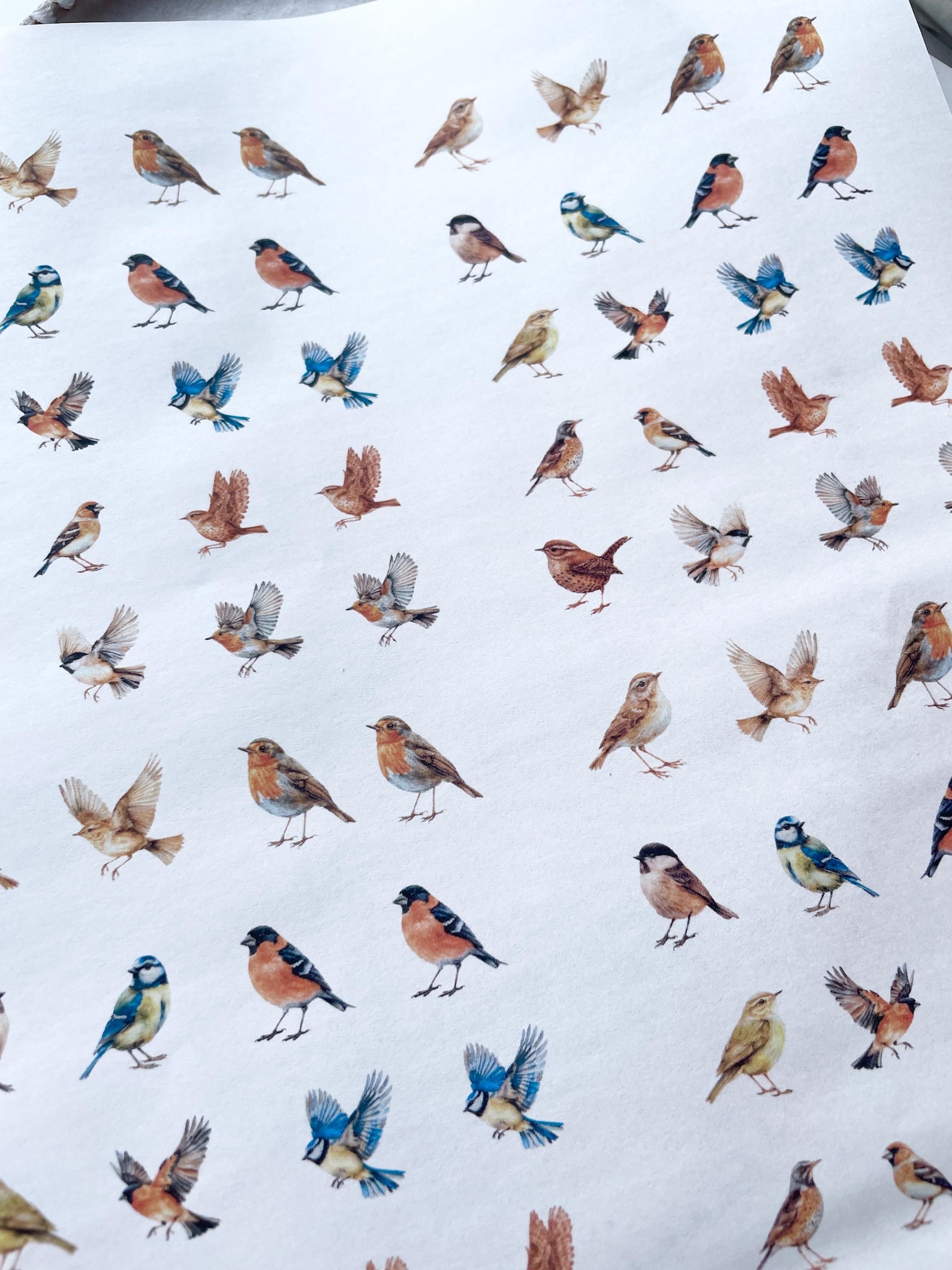 Water Soluble Transfer Paper for Polymer Clay | Birds Image Transfer ...
