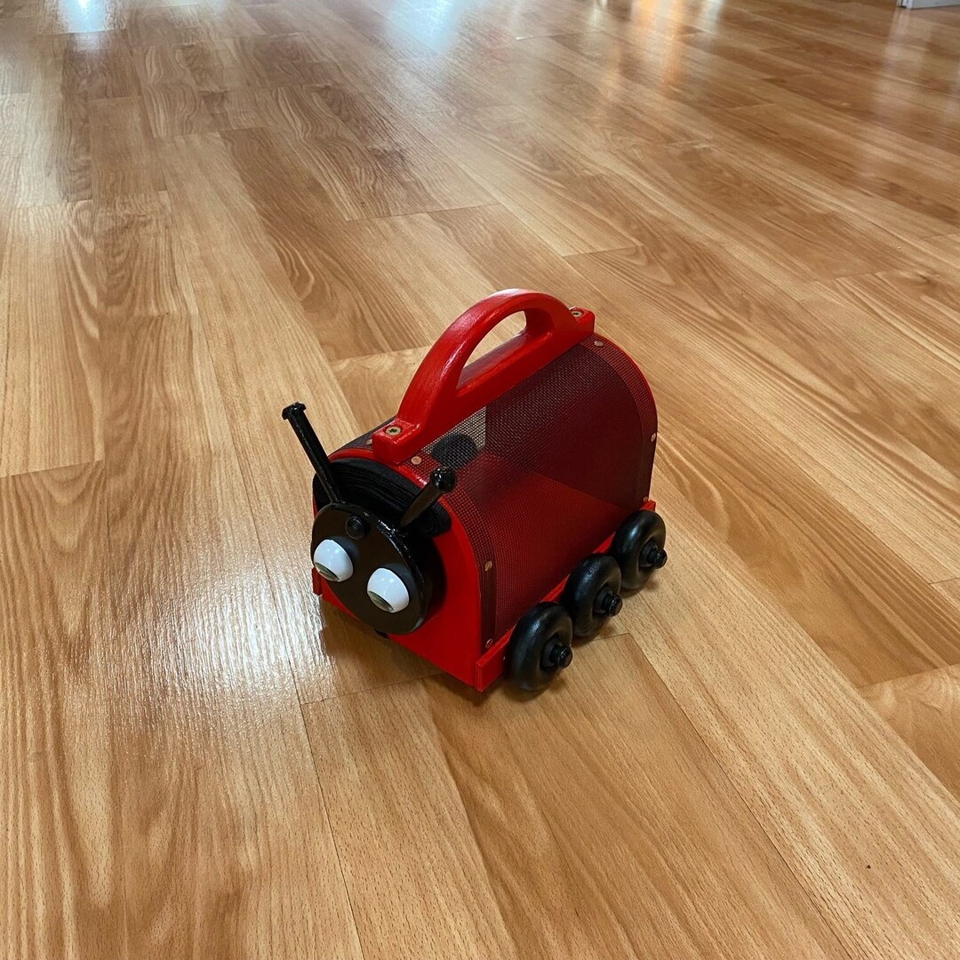 Bug Boxes - Lady Bug and Grasshopper - Etsy