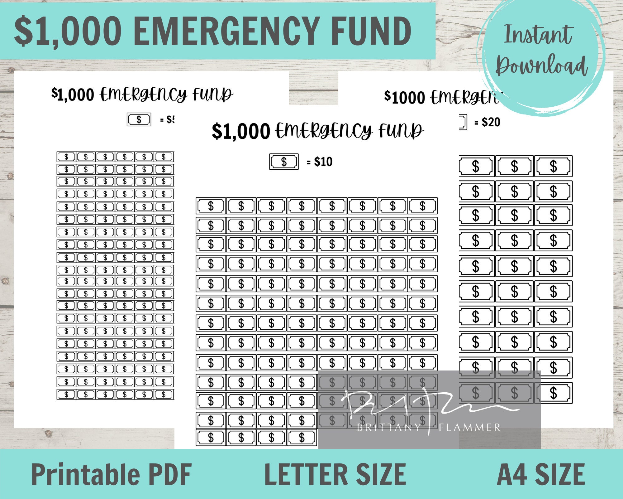 1000 Emergency Fund Savings Tracking Chart | Etsy