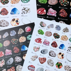 ART PRINT || A to Z of Michigan Fossils, Minerals and Stones - Etsy