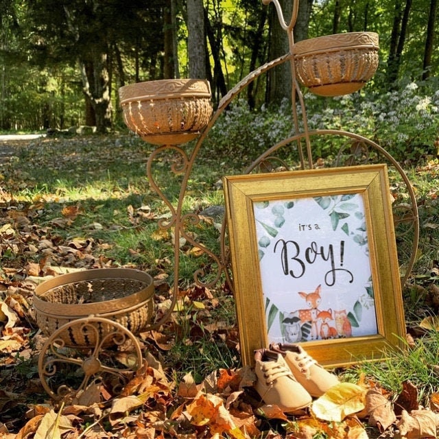 Woodland Animal Cards and Gifts Printable Sign INSTANT | Etsy