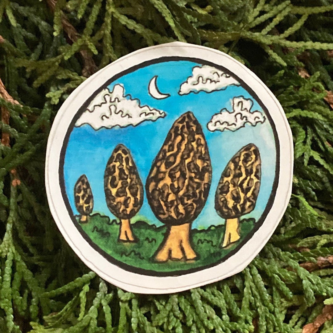 Morel Mushroom Trio Botanical Sticker | Illustration Illustrated Vinyl ...