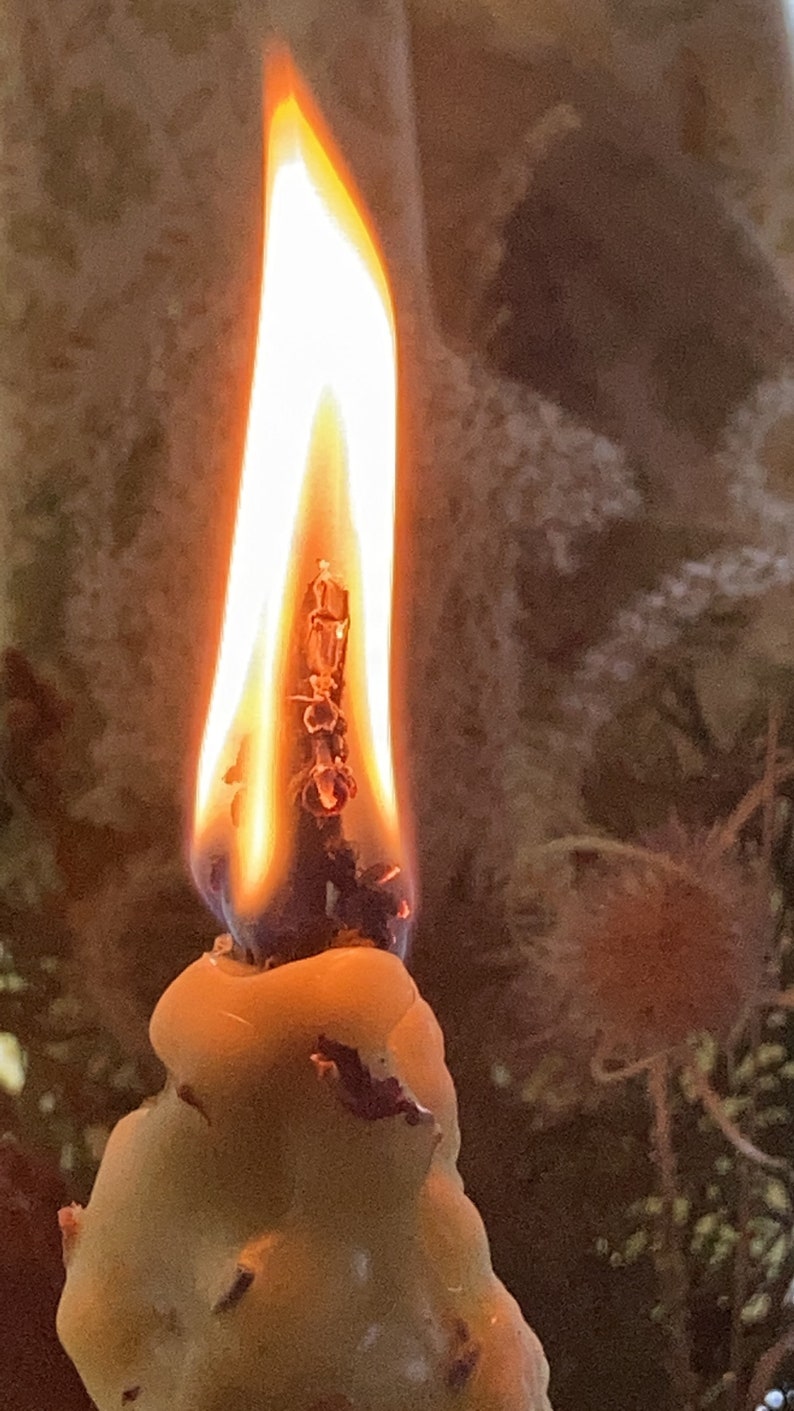 Mullein Torch / Herbal Mullein Candle / Outdoor Use Highly | Etsy