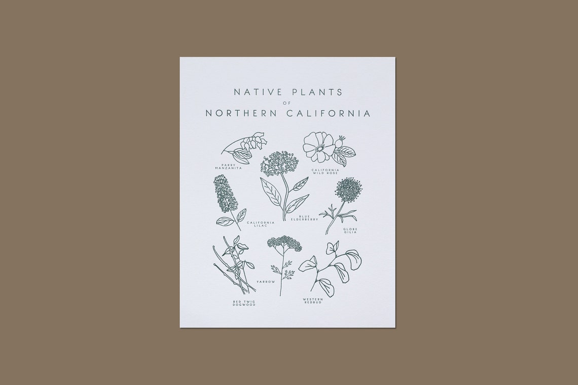 Northern California Native Plants Letterpress Botanical Line - Etsy
