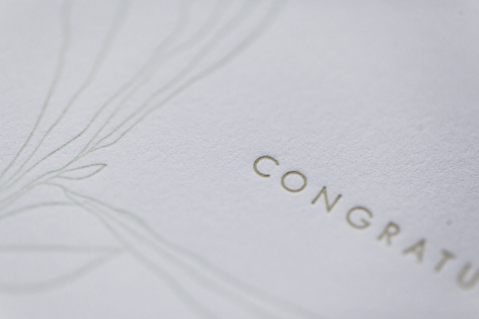 Congratulations Letterpress Minimal Botanical Leaves Card - Etsy