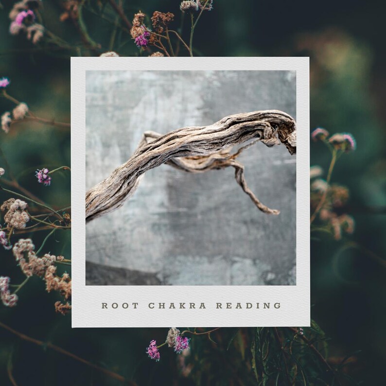Root Chakra Reading | Grounding & Personal Healing | Shamanic Insight ...