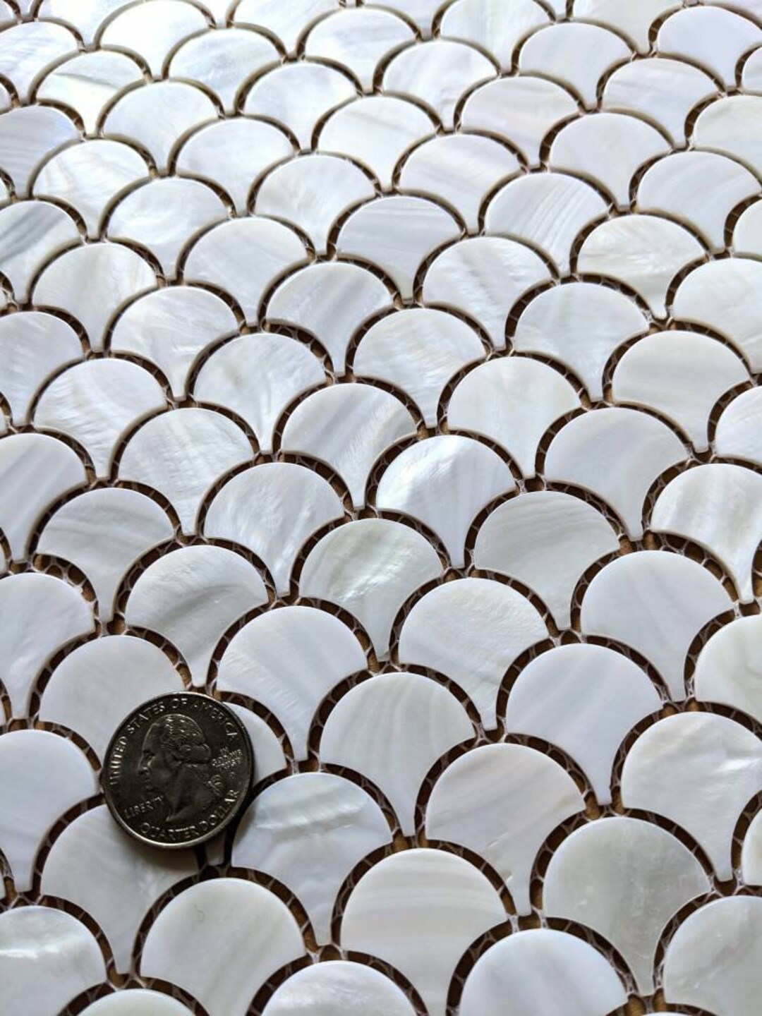 21 White Mother of Pearl Mosaic Tiles Pearlized Tiles, Mosaic Tiles ...