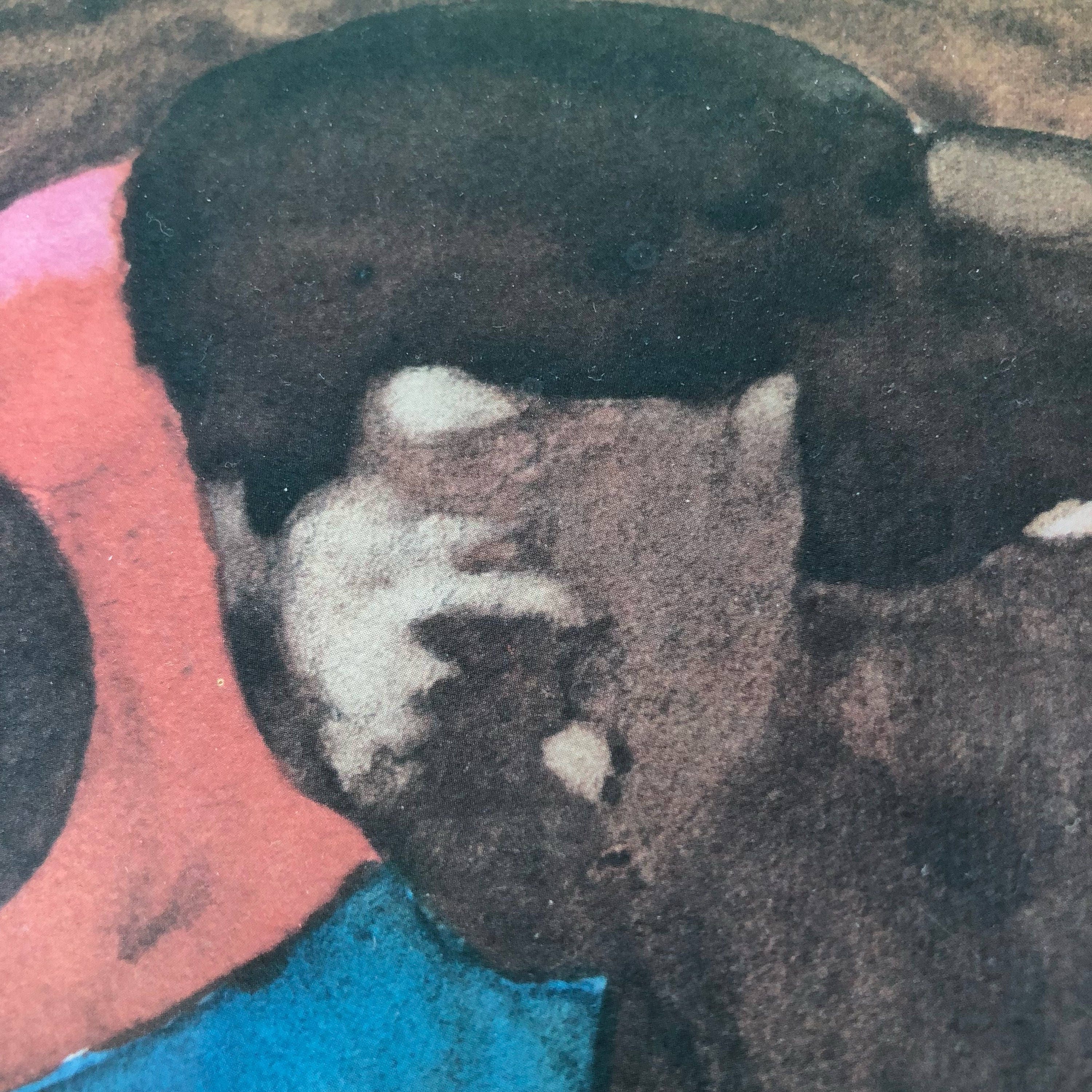 Art Bart Forbes Signed Vintage Print 1988 Hurdles, Very Rare Limited ...