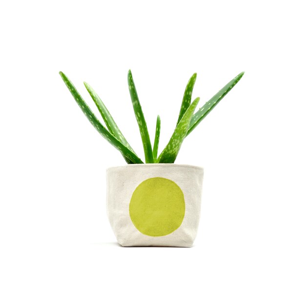 Chartreuse Planter - Etsy