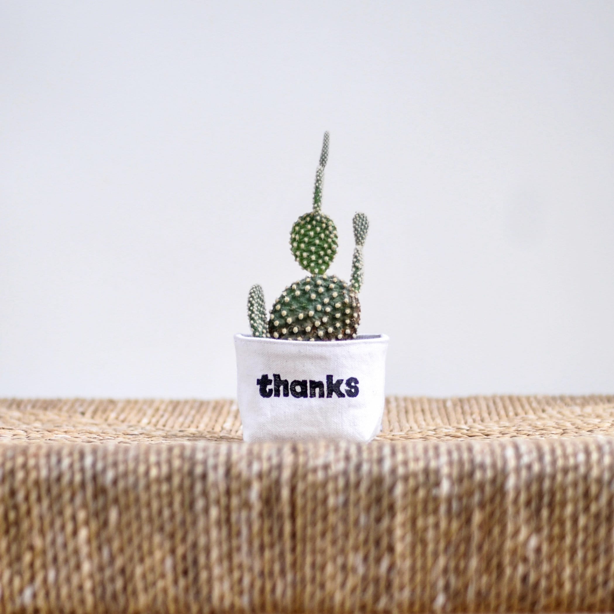 Small Planter thanks Blockprint Canvas Bucket for | Etsy