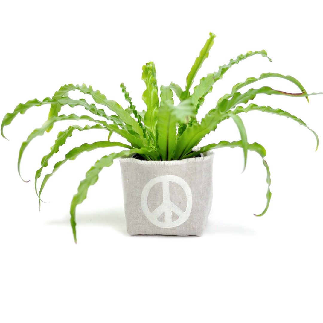 Peace Sign Planter, 4, Blockprint on Linen Bucket - Etsy