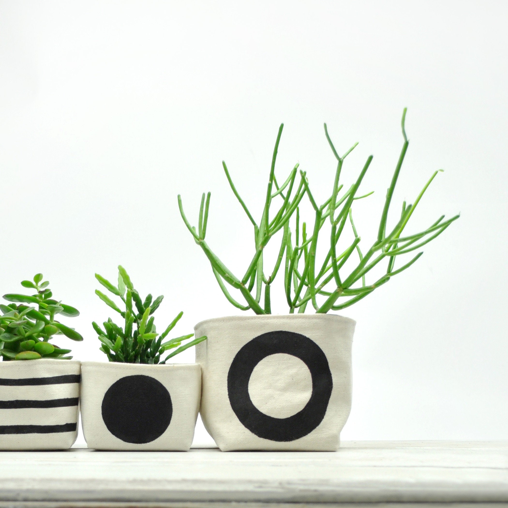 Black Circle Canvas Planter 4 Size Blockprint Canvas - Etsy