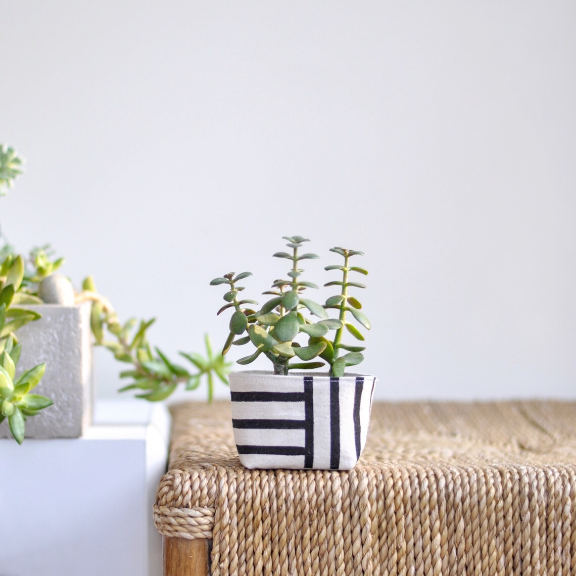 Canvas Planter Two Way Black Stripe for Succulents and Cacti - Etsy