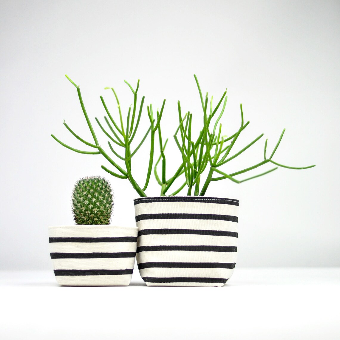 Black Stripe Canvas Planter for Succulents and Cacti, Mini Black and ...