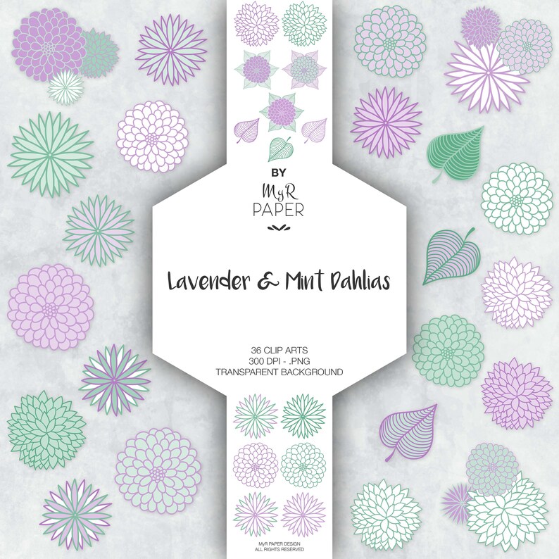 36 PNG Floral Clip Art: lavender & Mint Dahlias Dahlia - Etsy