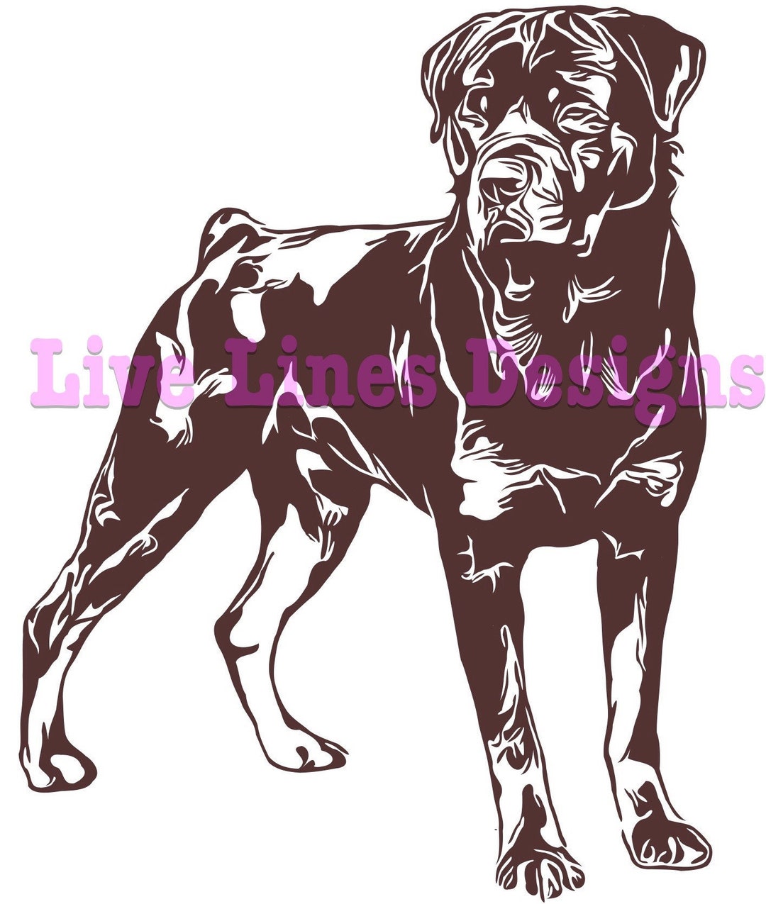 Rottweiler Png,clean Cut PNG, Dog Rotti, Cute Pet Face, Animal, Pet ...