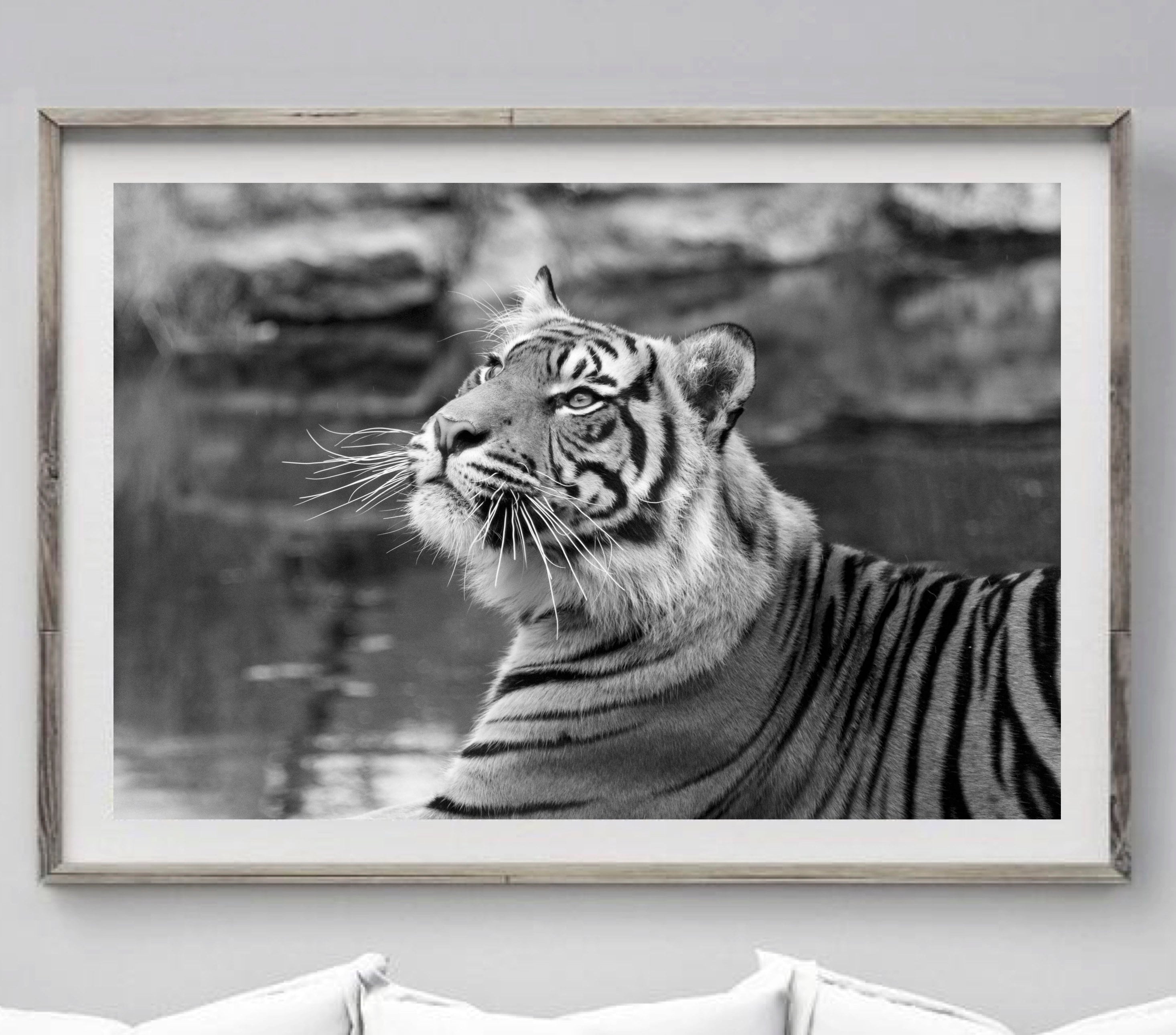Tiger Room Decor