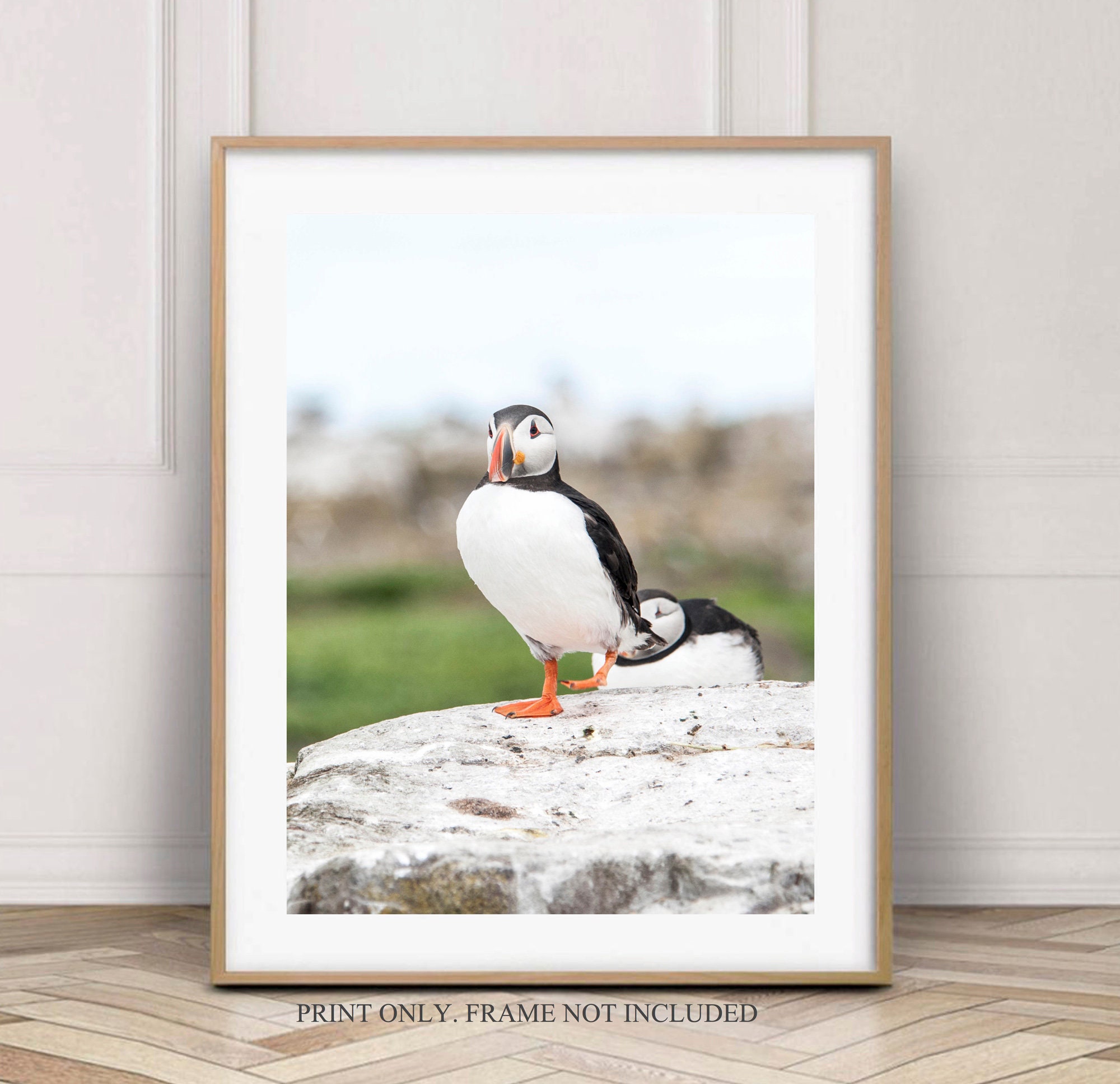 Puffin Photography Print Nursery Wall Decor Bird - Etsy