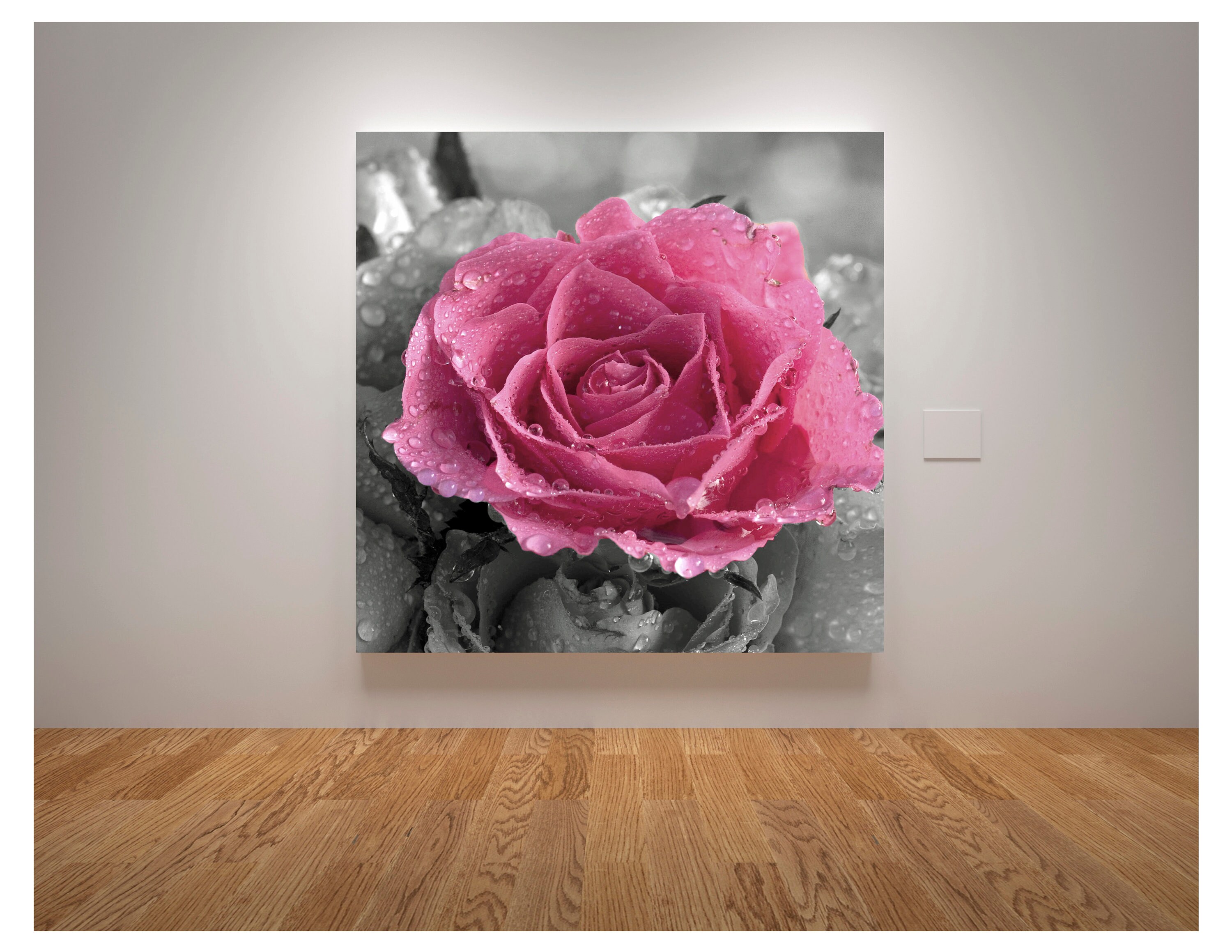 Printable Pink Rose , Floral Digital Download, Floral Printable Wall ...