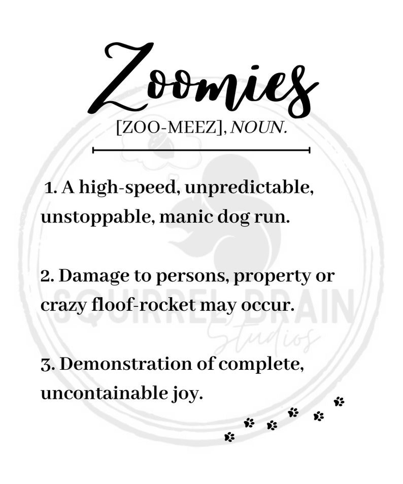 Zoomies Printable **DIGITAL DOWNLOAD** - Funny Pet - Cute Dog - Quirky ...