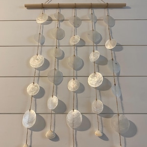 Seashell & Natural Wood Wall Decor - Etsy