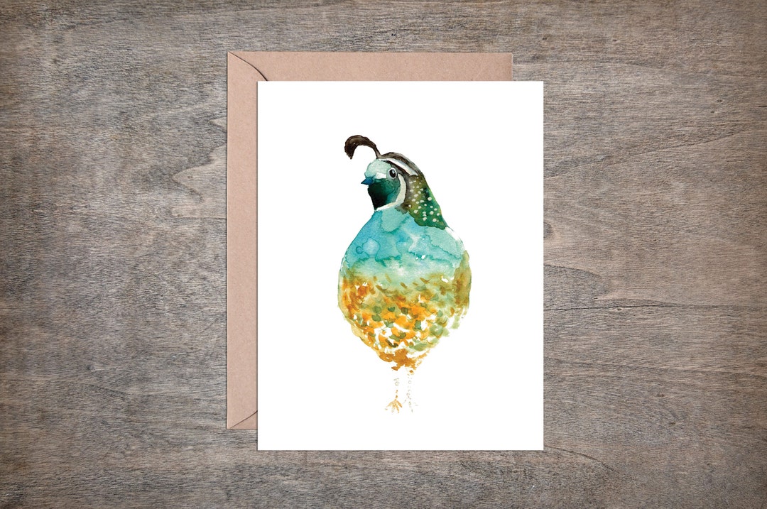 Quail Bird Note Card Set Watercolor (set of 8 Cards) // Notecards - Etsy