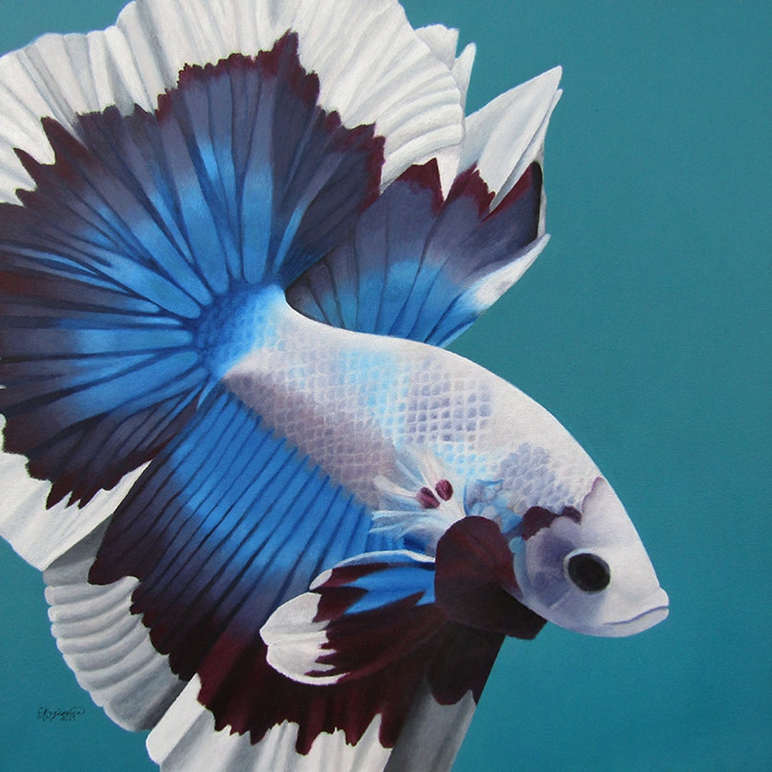 Betta Fish Original Acrylic Painting on Stretched Canvas - A Unique and ...