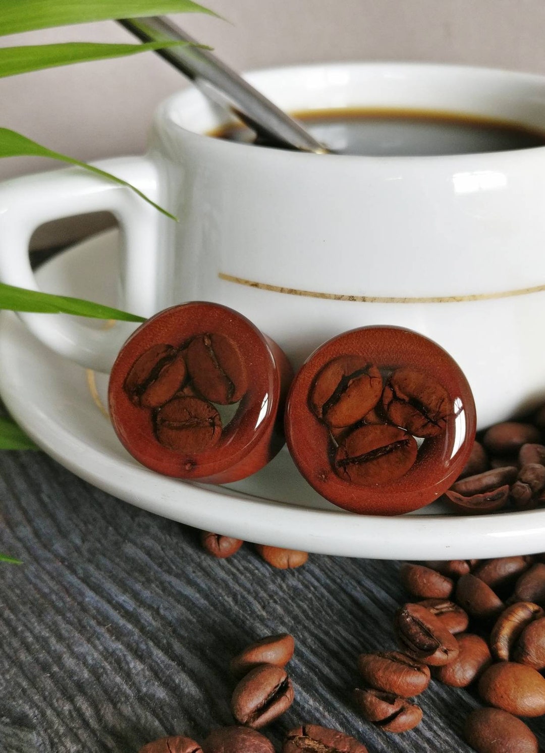 Coffee Bean 1" Ear Plugs - Natural Wood Tunnels - 25mm Stretchers - 1 ...