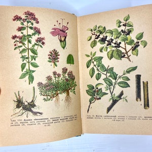 Vintage Botanical Illustrated Book Old Phytotherapy Guide - Etsy