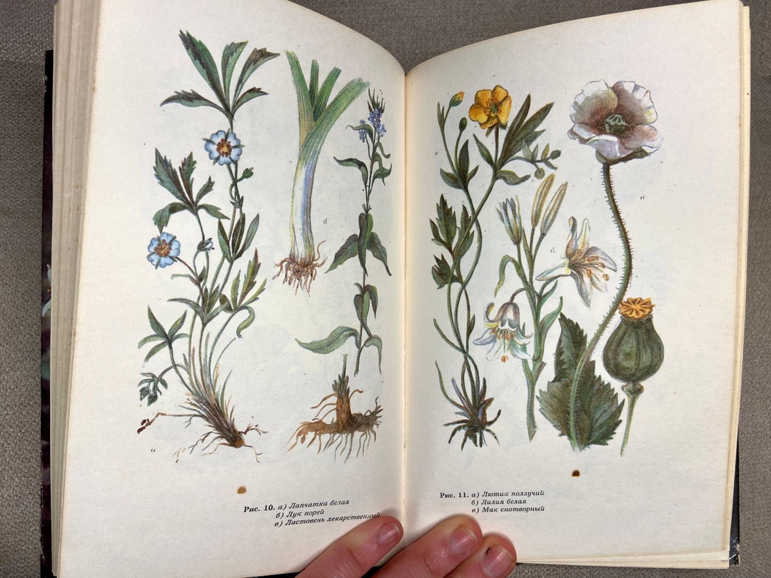 Vintage Botanical Illustrated Book, Old Phytotherapy Guide, Ukrainian ...